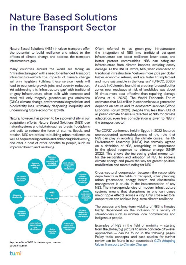 Nature Based Solutions (NBS) in the Transport Sector